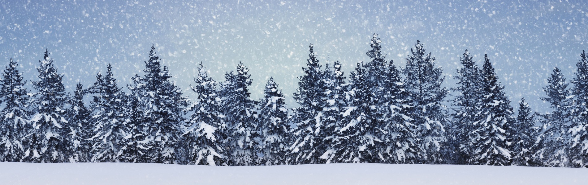 NeighborWorks America's senior vice presidents look to the year ahead ...